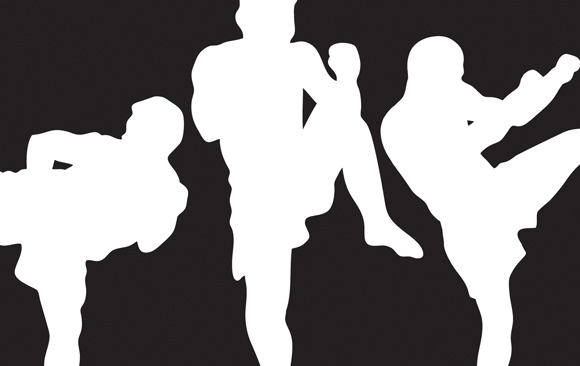 Combat Kickboxing Laois | Graphic Design at Creactive Studios, Co Laois ...